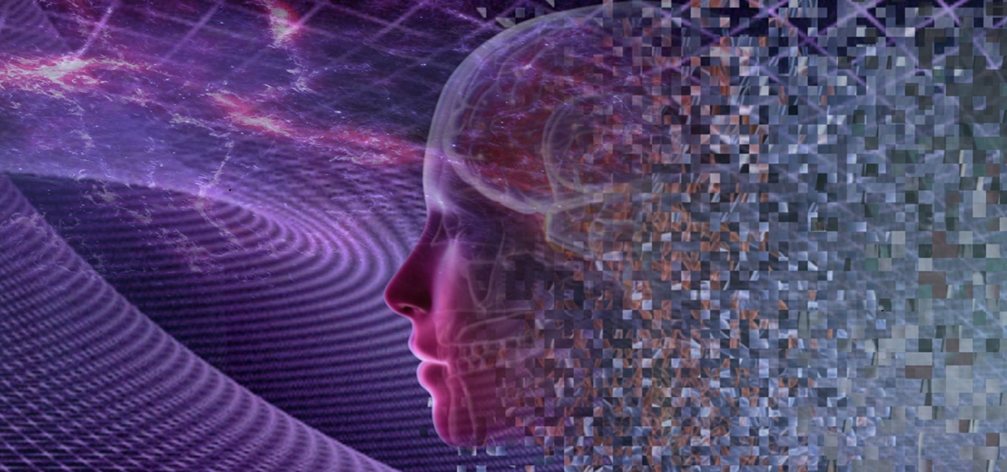 CONFERENCE PROCEEDINGS | Embodied Intelligence